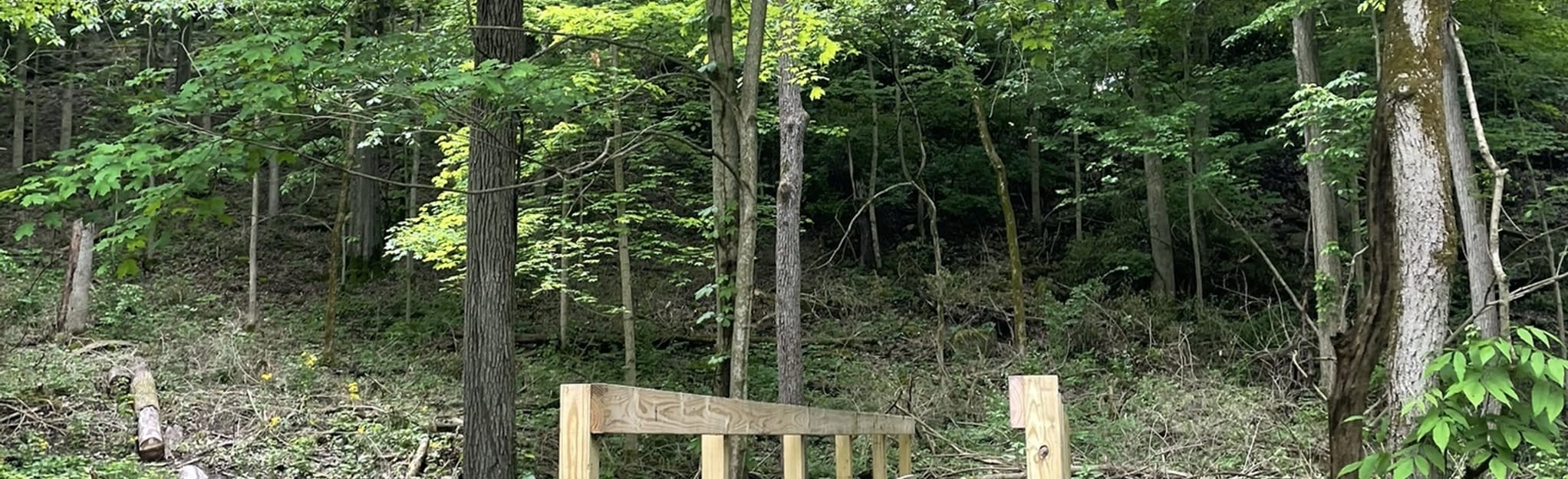 Pearl's Fen Outer Loop, Ohio - 84 Reviews, Map | AllTrails