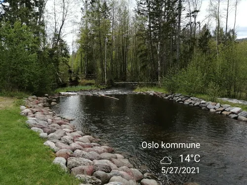 10 Best Hikes and Trails in Nordmarka Forest | AllTrails