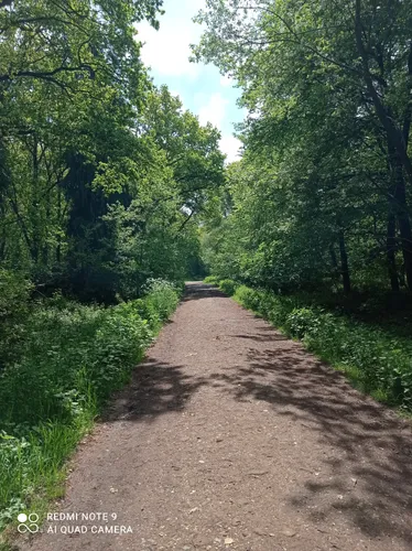 2023 Best 10 Trails, Walks, and Paths in Saffron Walden | AllTrails