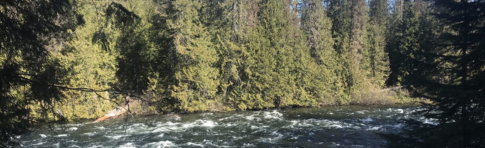 Murtle Lake: 14 Reviews, Map - British Columbia, Canada | AllTrails