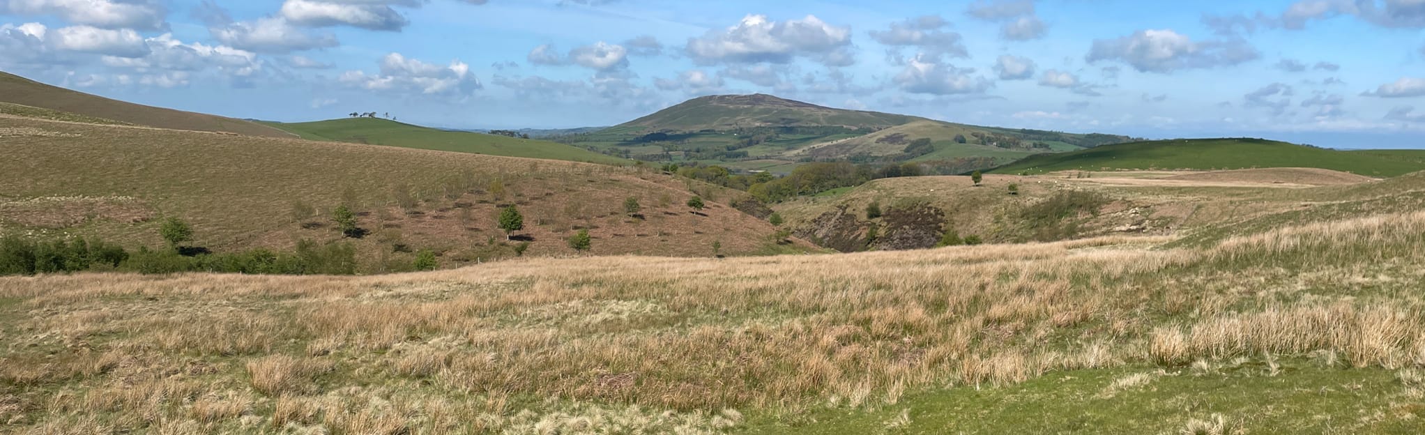 Great and Little Sca Fell, Brae Fell, and Longlands Fell Circular ...