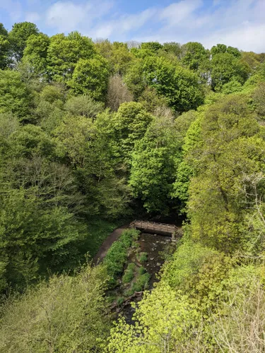 10 Best Trails and Hikes in County Durham | AllTrails