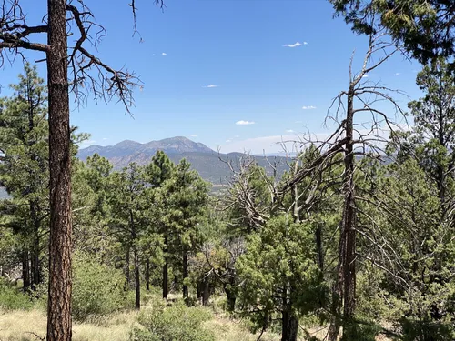 2023 Best 10 Trails, Walks, and Paths in Cedar Crest | AllTrails