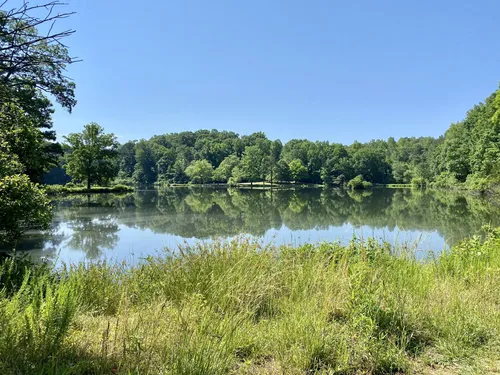 10 Best Trails and Hikes in Fort Mill | AllTrails