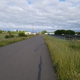 Irish Bend Covered Bridge, Oregon - 244 Reviews, Map | AllTrails
