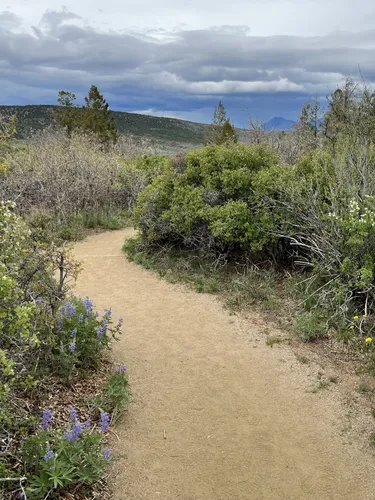 10 Best Trails and Hikes in Montrose | AllTrails