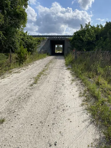 Best Hikes and Trails in Three Lakes Wildlife Management Area | AllTrails