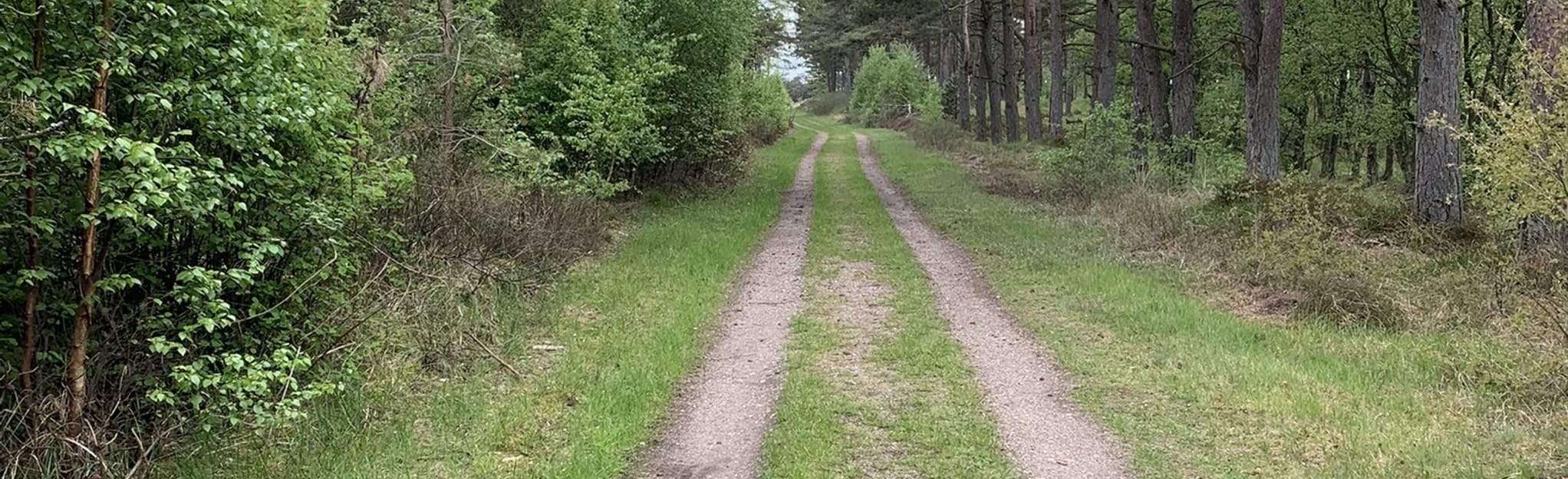 Rømø Trail - Red Trail: 24 Reviews, Map - Region of Southern Denmark ...