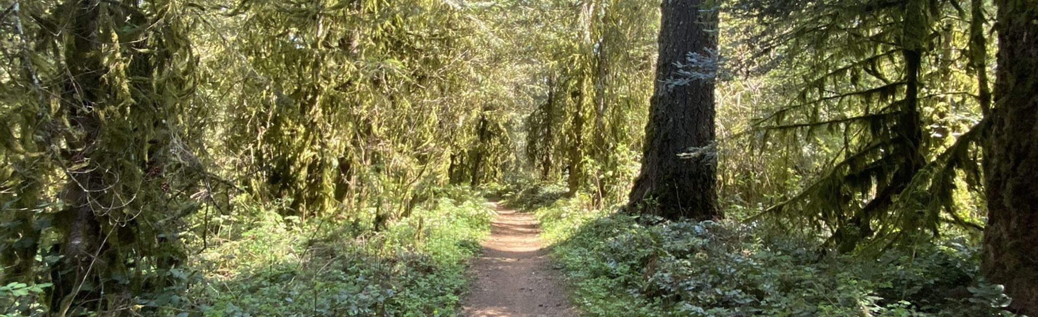 AllTrails | Ridge Trail to Sulphur Springs Loop Trail: 32 Reviews, Map ...