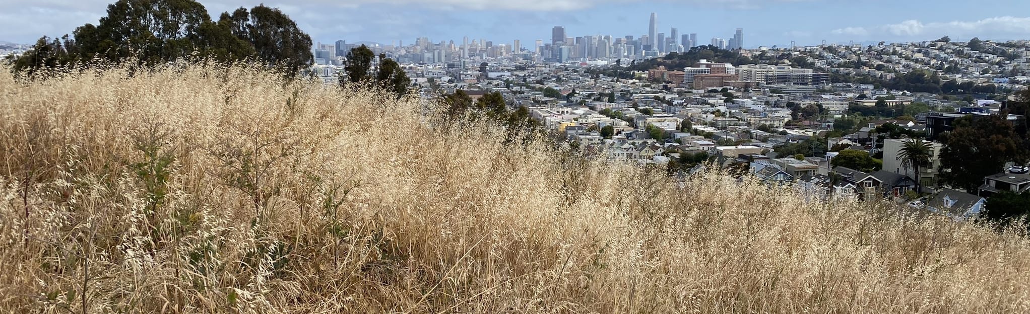 Bernal Heights Park Trail, California - 478 Reviews, Map | AllTrails