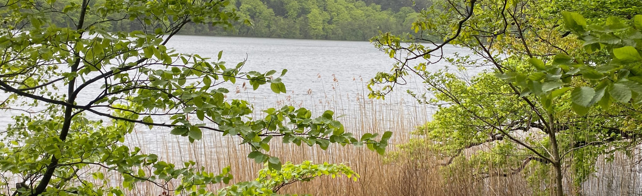 Almind Sø - Vestskoven, Central Denmark, Denmark - 10 Reviews, Map ...