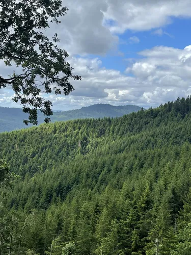 Best Mountain Biking Trails in Dunn State Forest | AllTrails