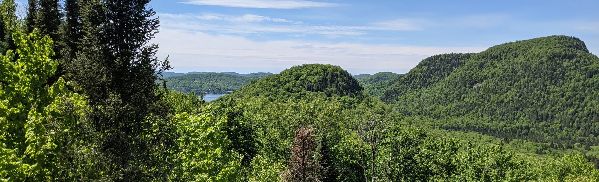 Mount Nixon Trail: 145 Reviews, Map - Quebec, Canada | AllTrails