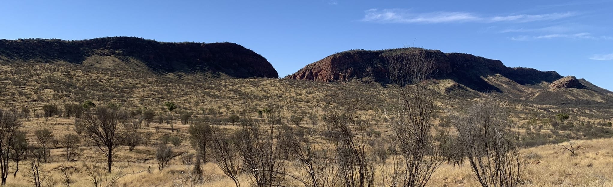 AllTrails | Larapinta Trail: Section 2 Simpson Gap to Jay Creek: 17 ...