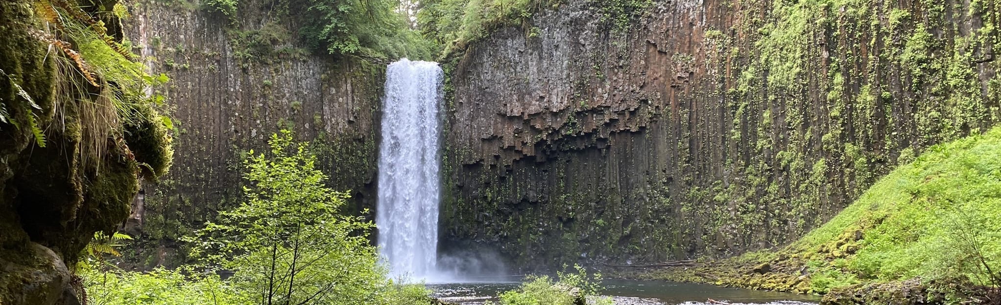 Abiqua Falls Trail, Oregon - 1,863 Reviews, Map | AllTrails