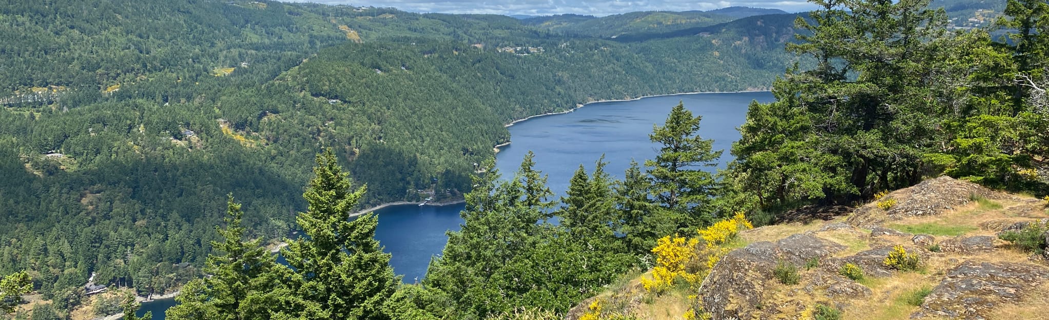 Ridgetop and Timberman Trail Loop : 29 Reviews, Map - British Columbia ...