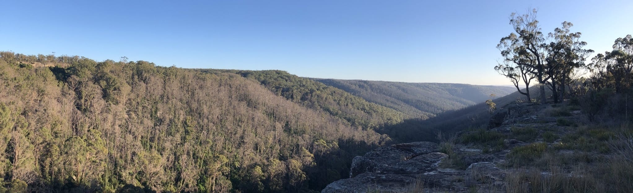 Braidwood to Nowra via Budawangs: 1 Reviews, Map - New South Wales ...