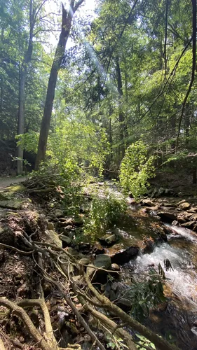 Best Hikes and Trails in Linn Run State Park | AllTrails