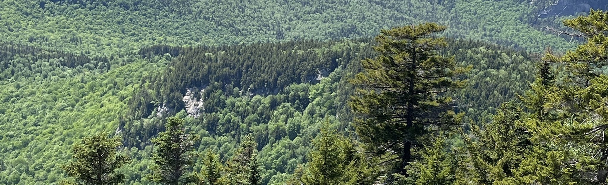 AllTrails | Mount Paugus via Bolles, Whitin Brook, Lawrence, and Old ...