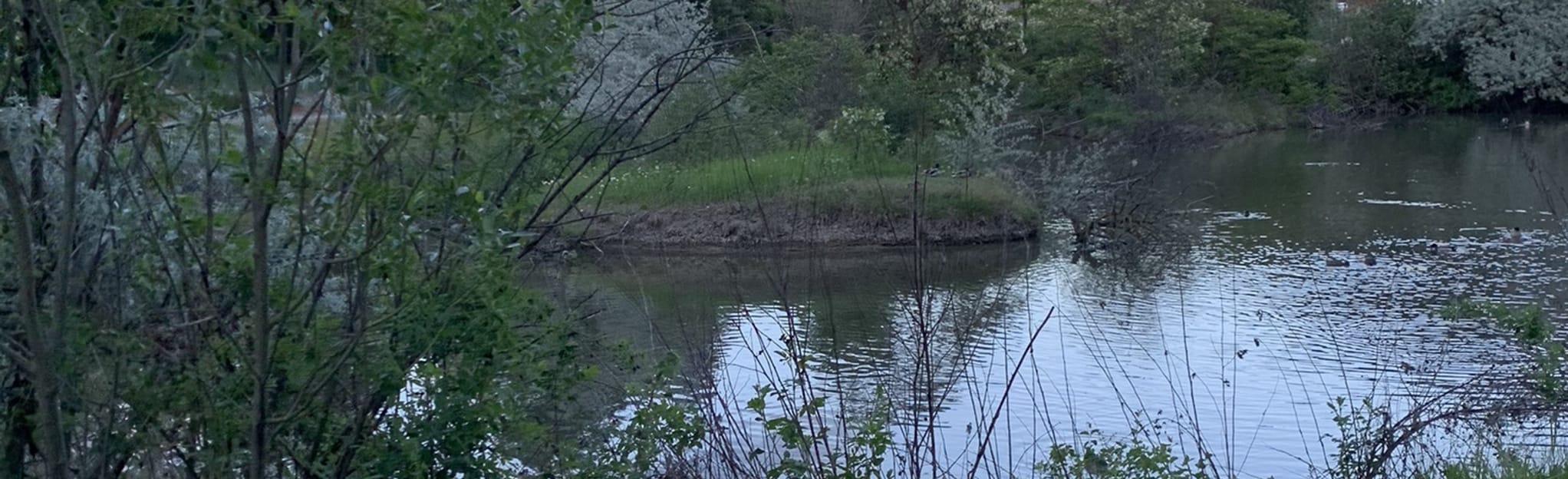 Brandt's Creek Linear Trail, British Columbia, Canada - 62 Reviews, Map ...