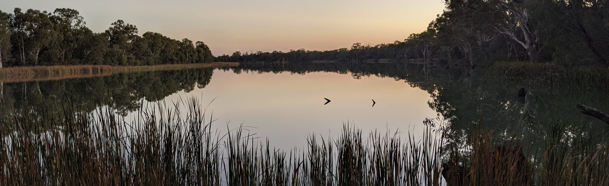 Kings Billabong Nature Walk: 32 Reviews, Map - Victoria, Australia ...