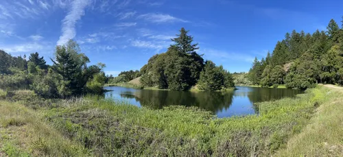10 Best Hikes and Trails in Skyline Ridge Open Space Preserve | AllTrails