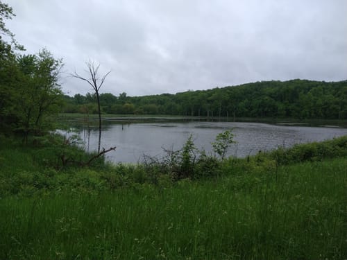 Best Hikes and Trails in Lake Wapello State Park | AllTrails