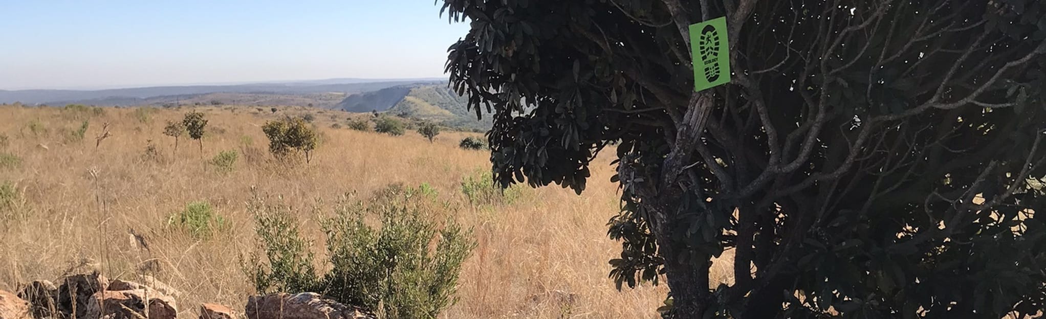 Windy Brow Ecology Trail, Gauteng, South Africa - 37 Reviews, Map ...
