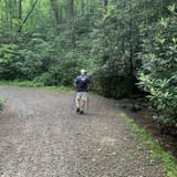 Hard Times Road Trail, North Carolina - 314 Reviews, Map | AllTrails