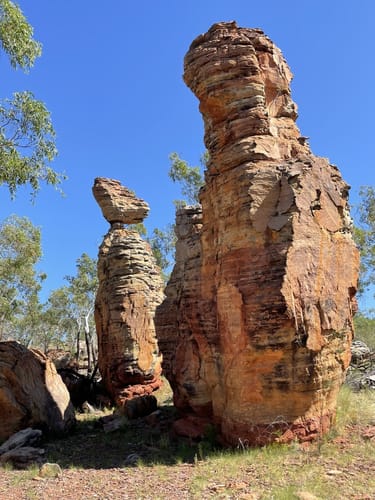 Best Hikes and Trails in Limmen National Park | AllTrails