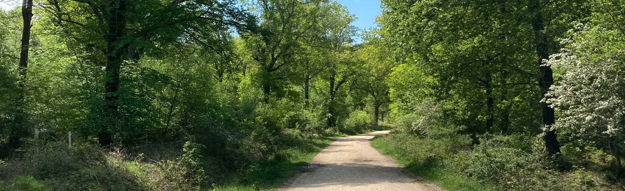Ashurst and Deerleap Enclosure Circular, Hampshire, England - 387 ...
