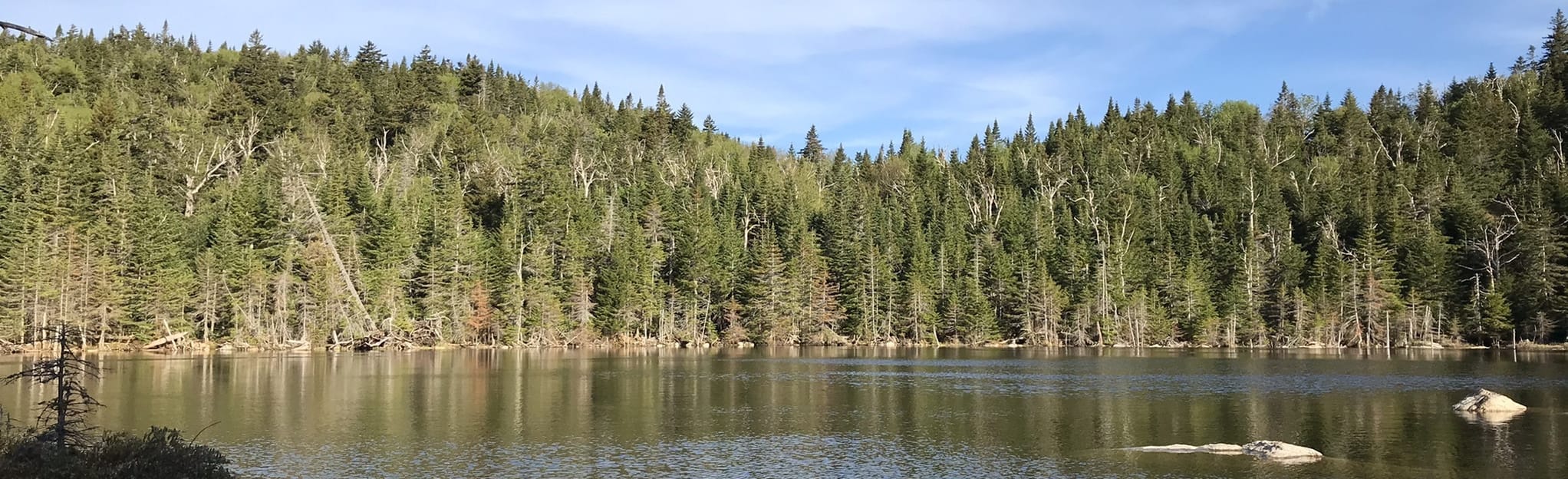 Cooper Kiln Pond from Bonnieview Road, New York - 91 Reviews, Map ...