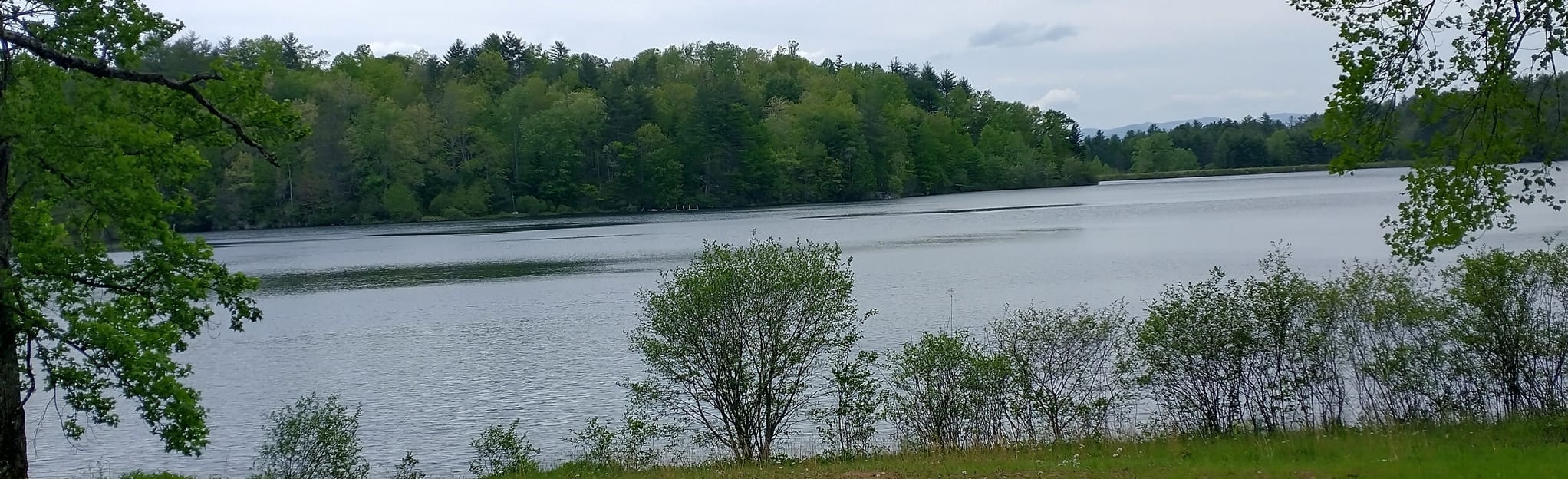 Reasonover Creek Trail: 316 Reviews, Map - North Carolina | AllTrails