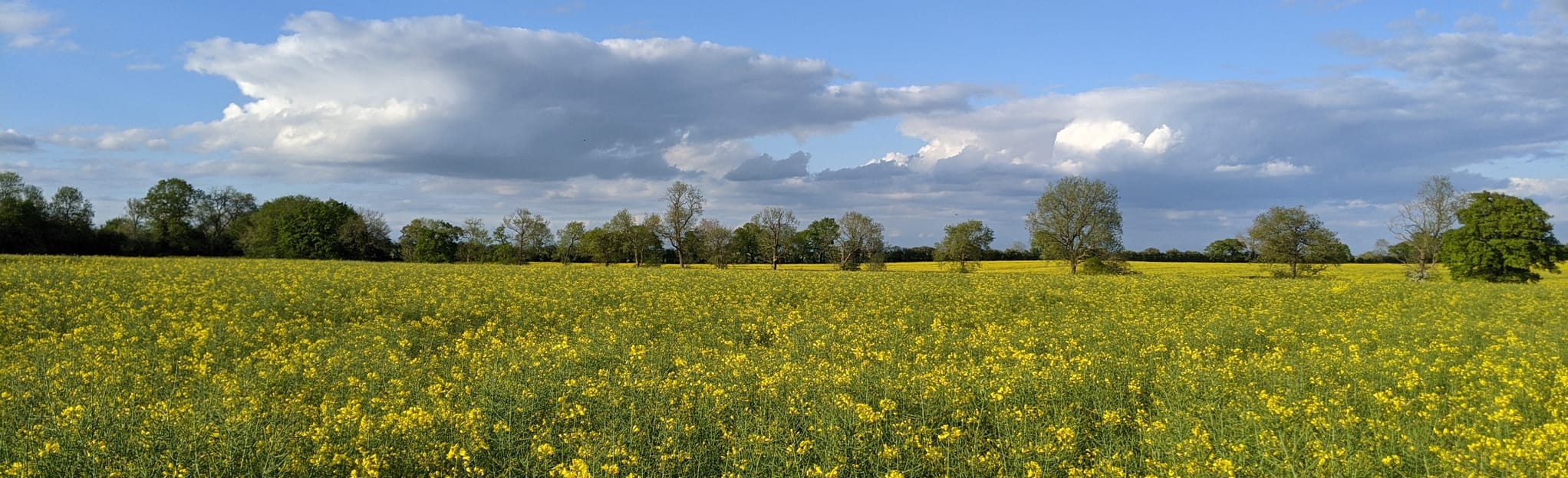Hardwick Wood and Countryside Circular, Cambridgeshire, England - 11 ...