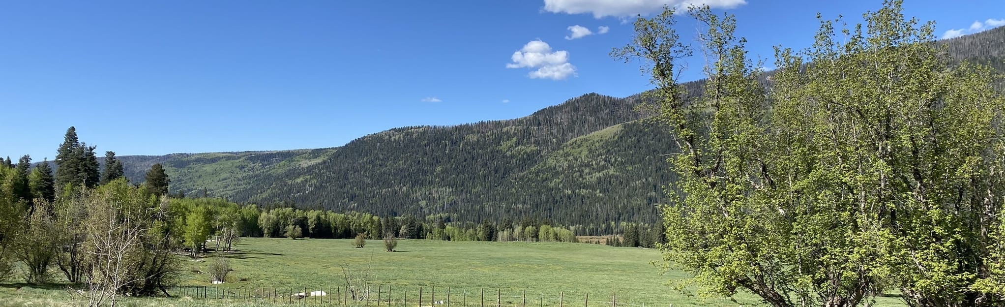 Pinos River Trail to Cimarrona Campground: 236 foto's - Colorado ...