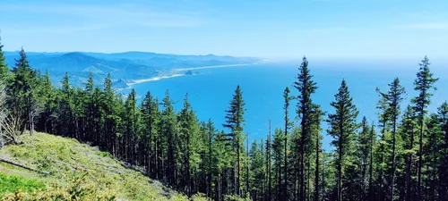 10 Best Dog Friendly Trails in Oregon | AllTrails