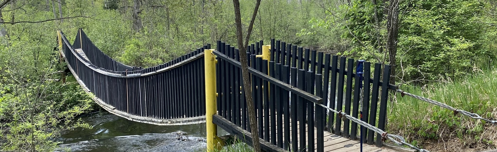 Rifle River Multi-Use Trail - Michigan | AllTrails