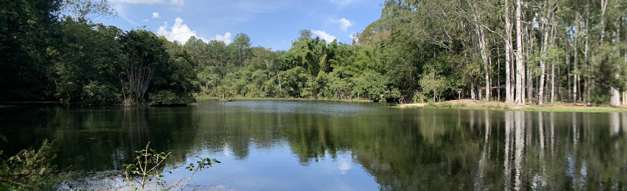 Horto Florestal Piracicaba, São Paulo, Brazil - 2 Reviews, Map | AllTrails