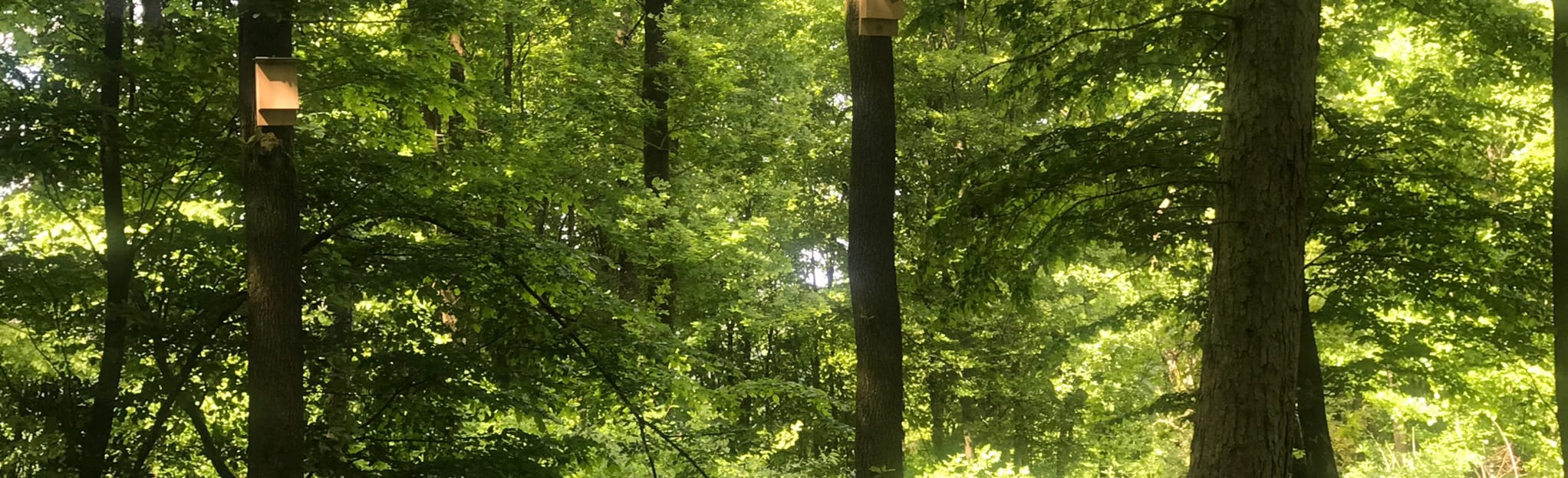 Hahnenkamm-Runde ab Wasserlos | Map, Guide - Bayern, Germany | AllTrails