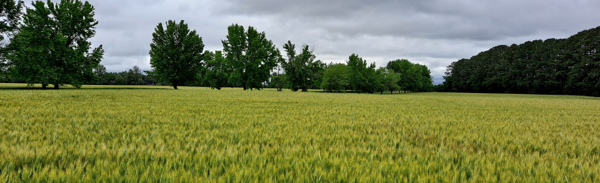 Rend Lake Bike Trail East, Illinois - 34 Reviews, Map | AllTrails