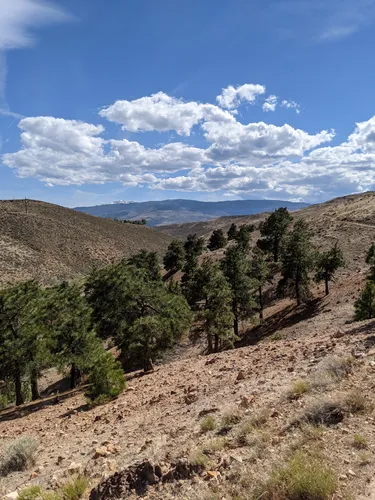 Best Hikes and Trails in Rancho San Rafael Regional Park | AllTrails