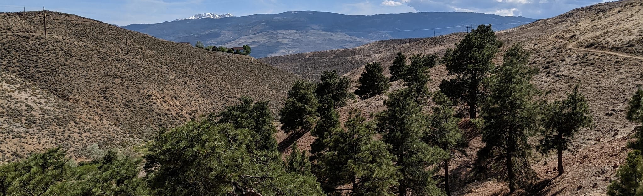 Rancho San Rafael Nature Trail, Nevada - 221 Reviews, Map | AllTrails