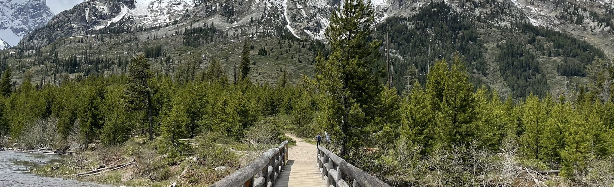Paintbrush Peak, Wyoming - 61 Reviews, Map | AllTrails
