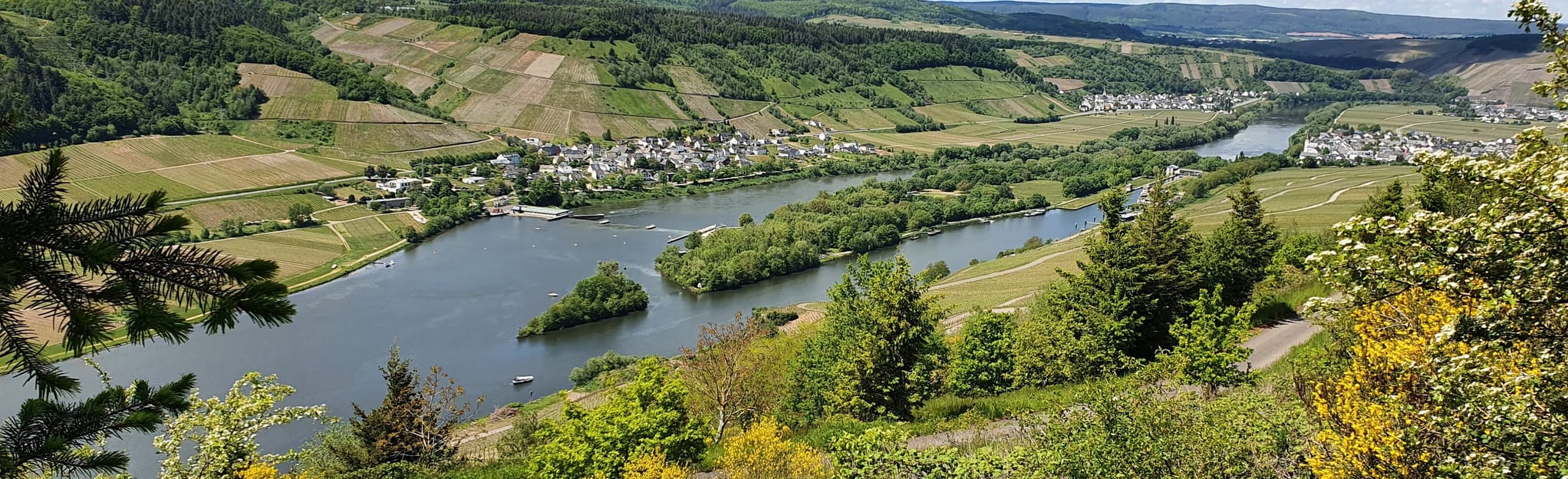 Moselsteig Stage 7: Mehring - Leiwen, Rhineland-Palatine, Germany - 9 ...