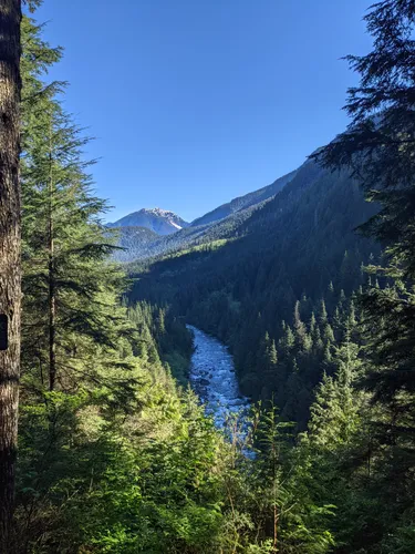 10 Best Trails and Hikes in Maple Ridge | AllTrails