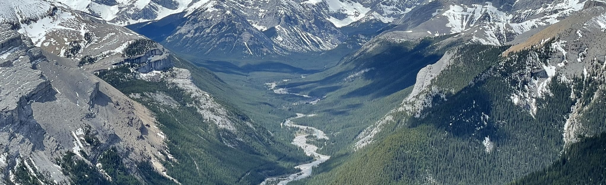 Nihahi Ridge South: 1559 Reviews, Map - Alberta, Canada | AllTrails