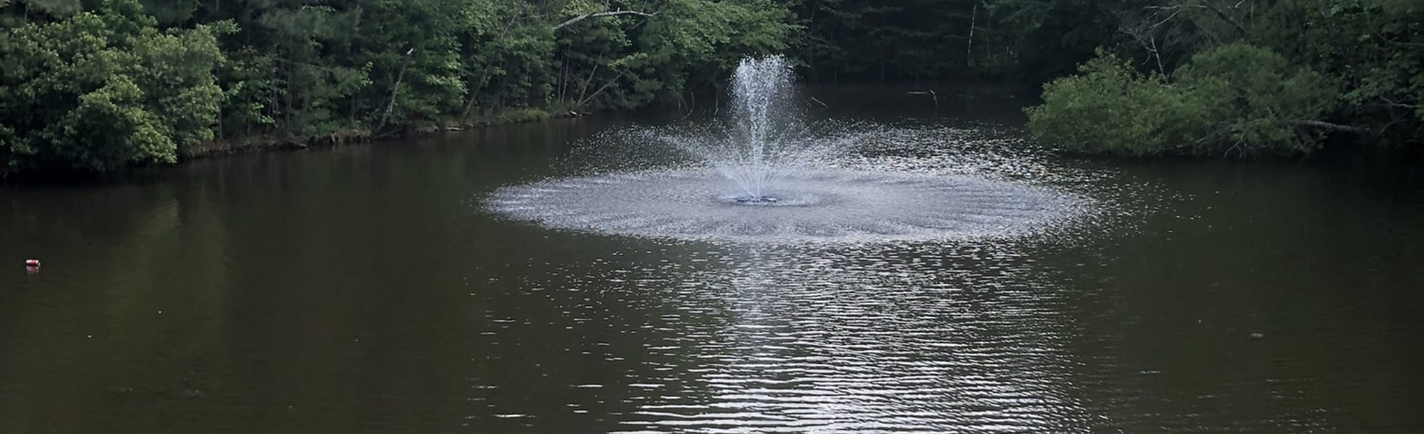 Webb Bridge Park Trail: 593 Reviews, Map - Georgia | AllTrails