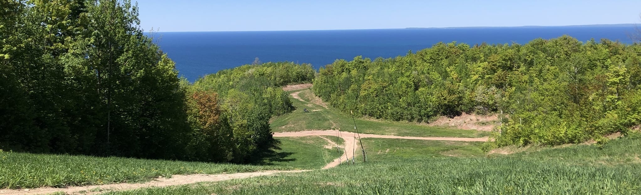 Loree Forest: 1024 Reviews, Map - Ontario, Canada | AllTrails