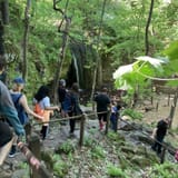 Stephens' Falls Trail, Wisconsin - 174 Reviews, Map | AllTrails