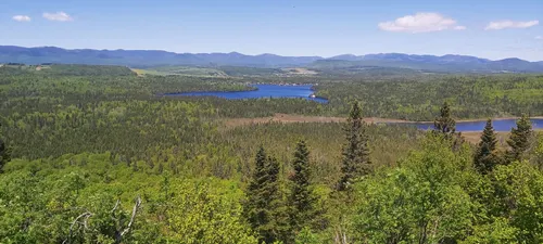 Best Camping Trails in Saint-Tite-des-Caps | AllTrails